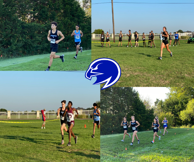 North Forney - Team Home North Forney Falcons Sports