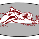 John Glenn Muskies - Official Athletic Website – New Concord, OH