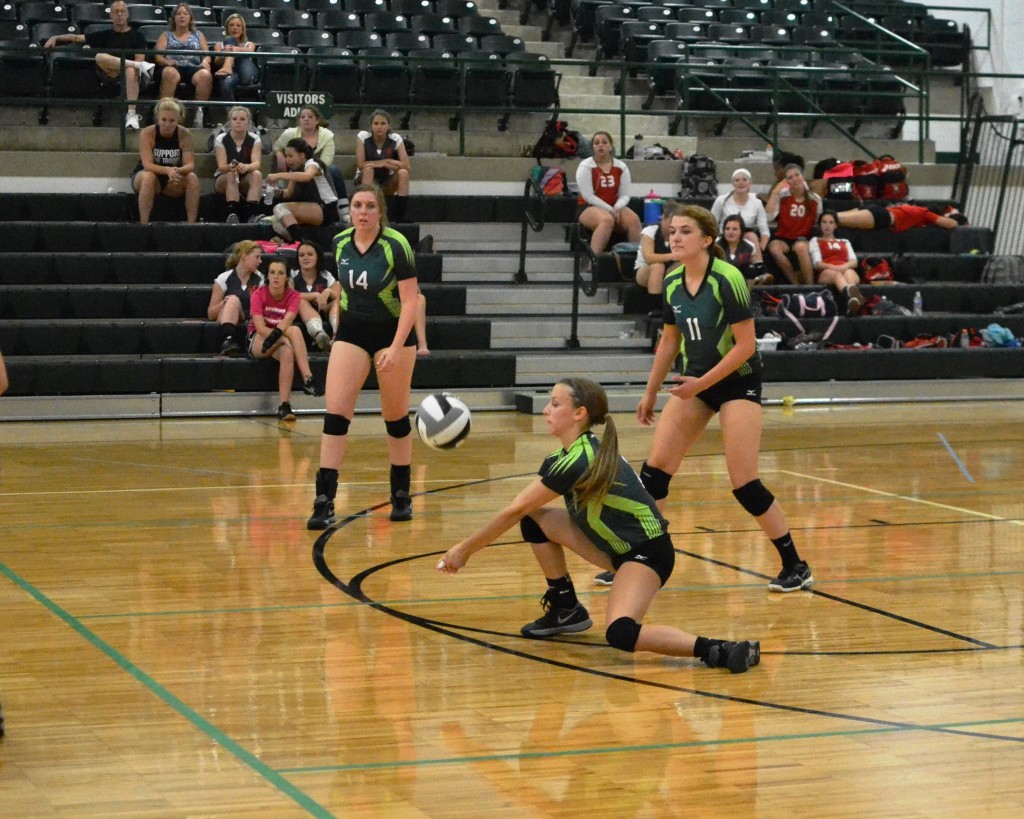 Cloverleaf - Team Home Cloverleaf Colts Sports