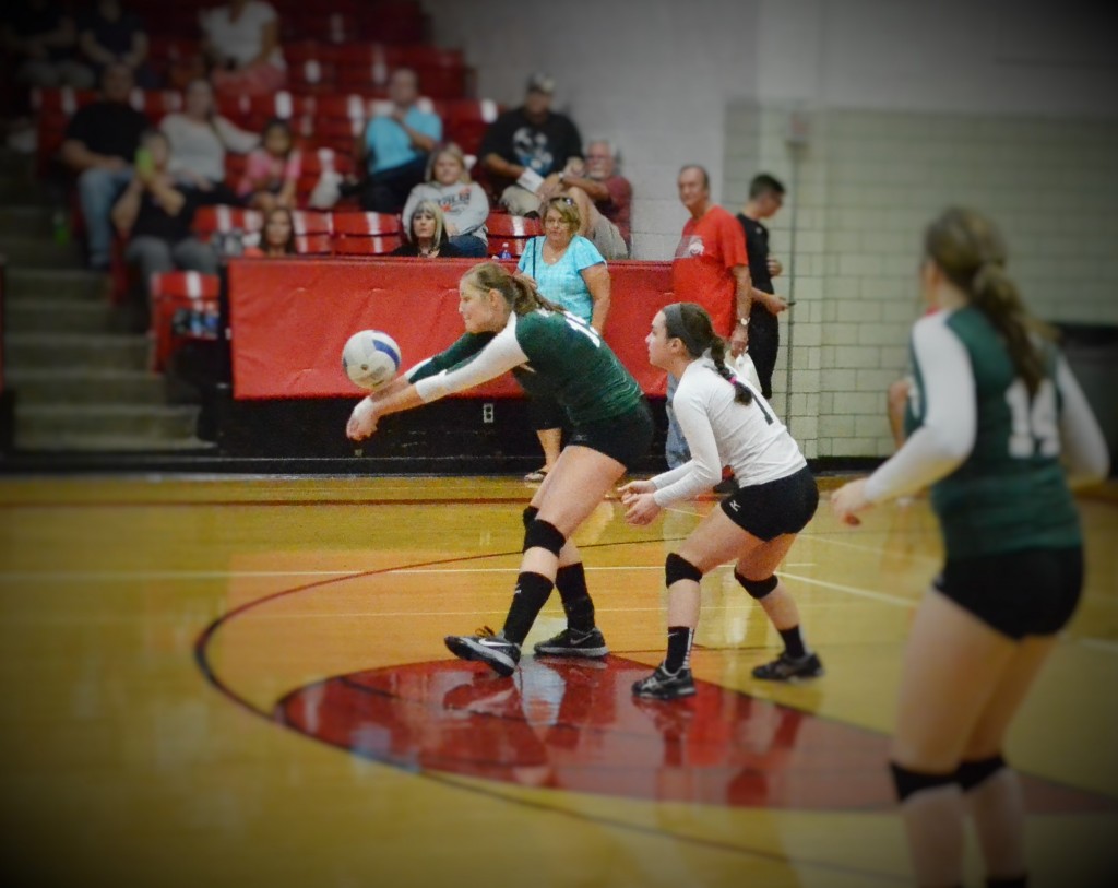 Cloverleaf - Team Home Cloverleaf Colts Sports