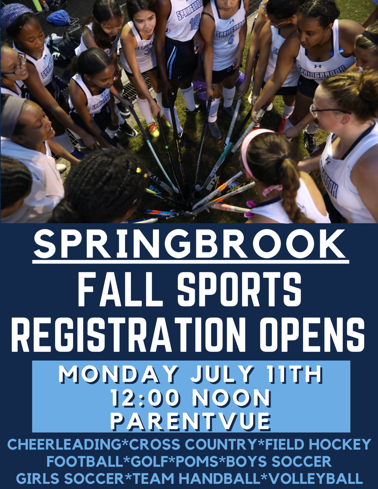 Springbrook - Team Home Springbrook Blue Devils Sports