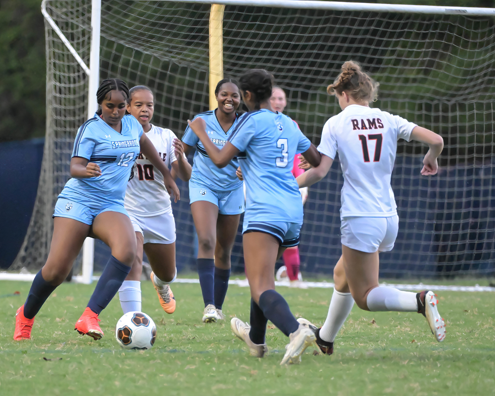 Springbrook - Team Home Springbrook Blue Devils Sports