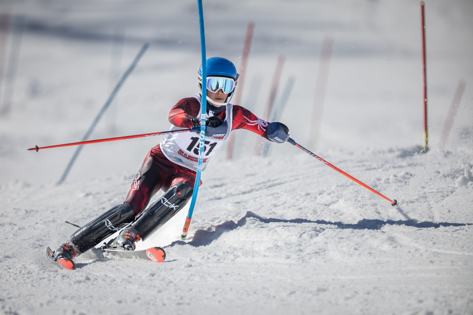 Shorewood - Team Home Shorewood Greyhounds Sports