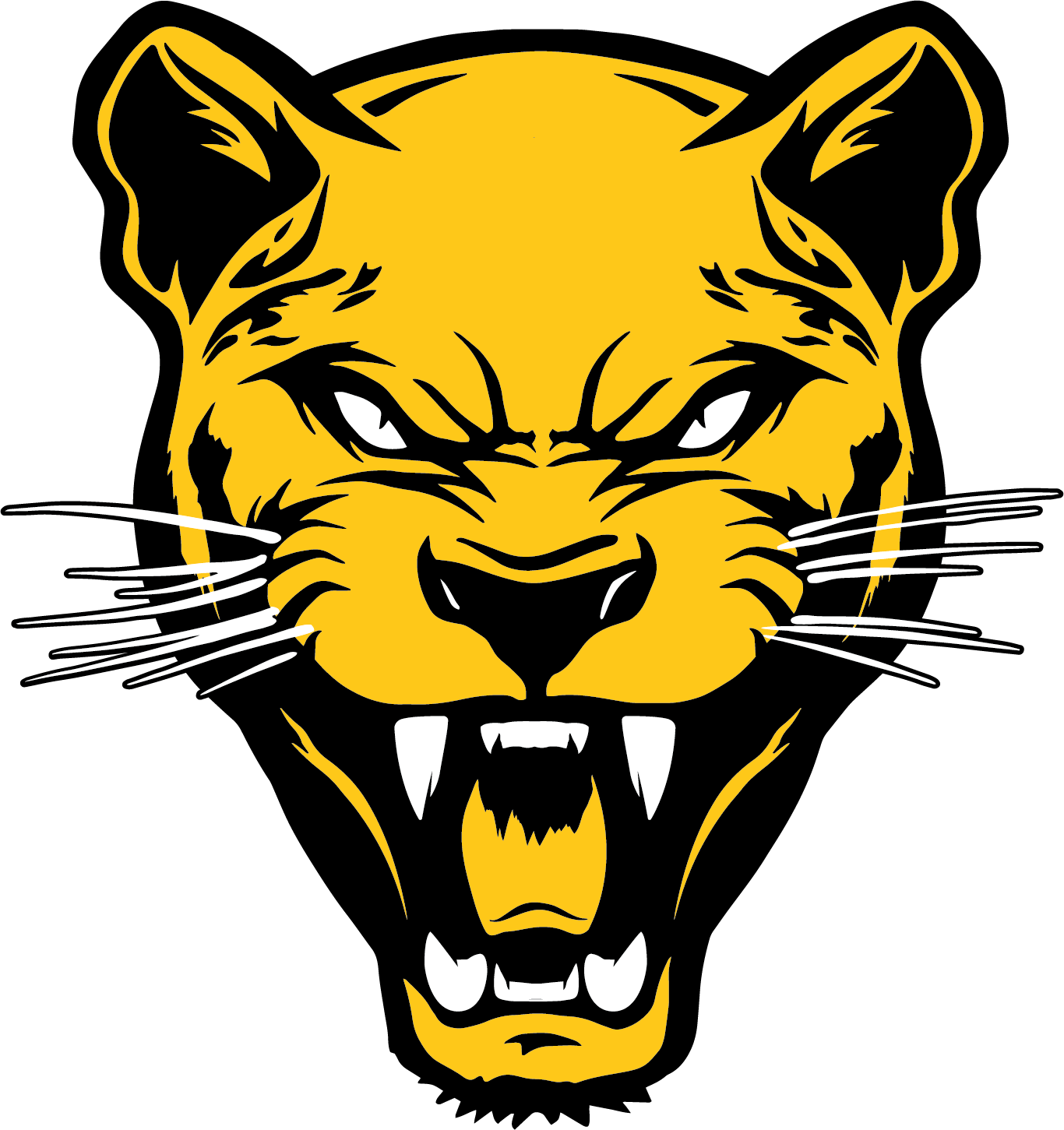 Willow Spring Storm - Official Athletic Website – Fuquay-Varina, NC