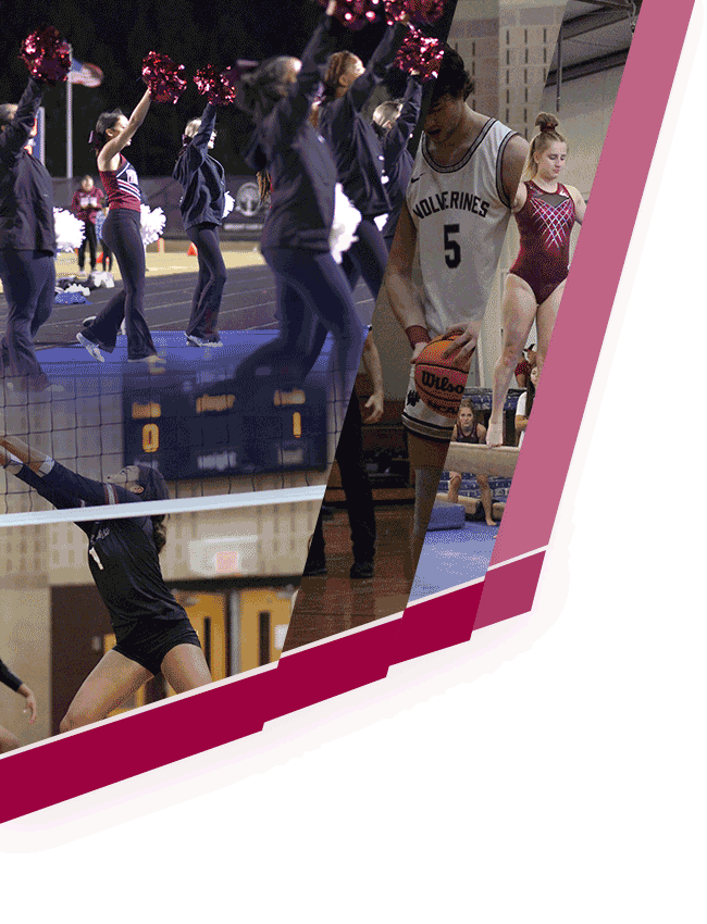 Wakefield Wolverines - Official Athletic Website – Raleigh, NC