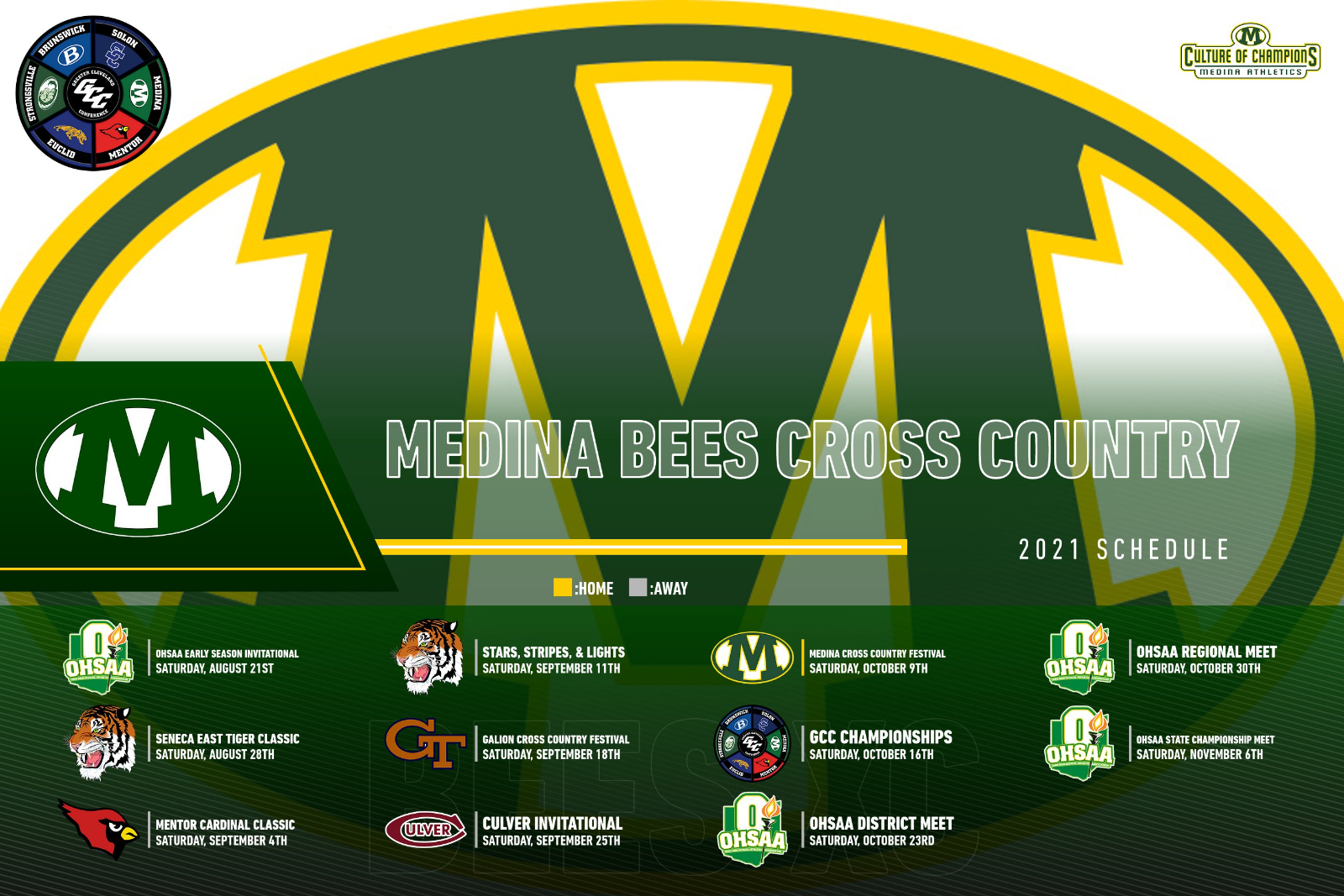 Medina Bees - Photo Gallery - Medina Bees Sports