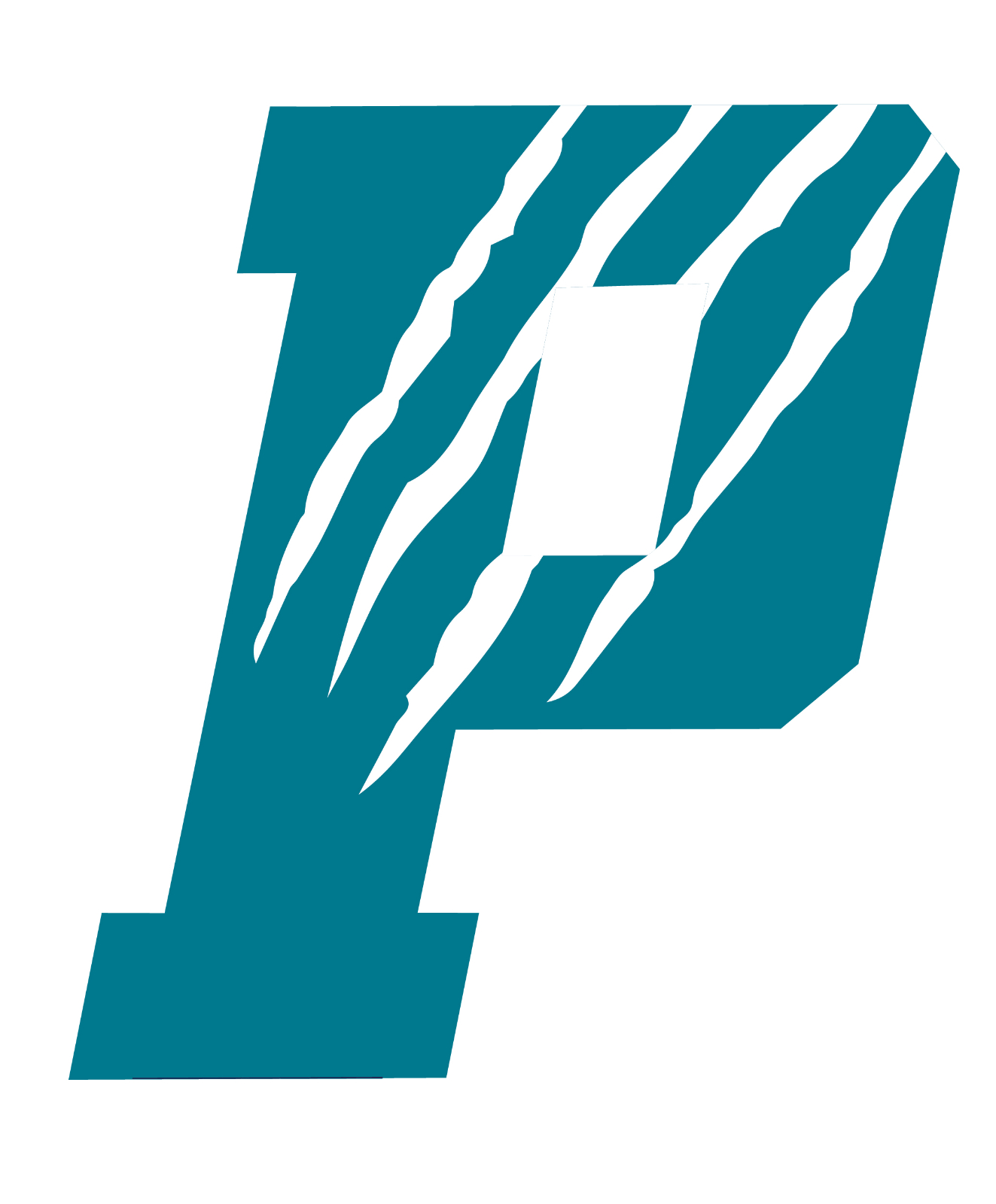 Palisades Pumas - Official Athletic Website – Charlotte, NC