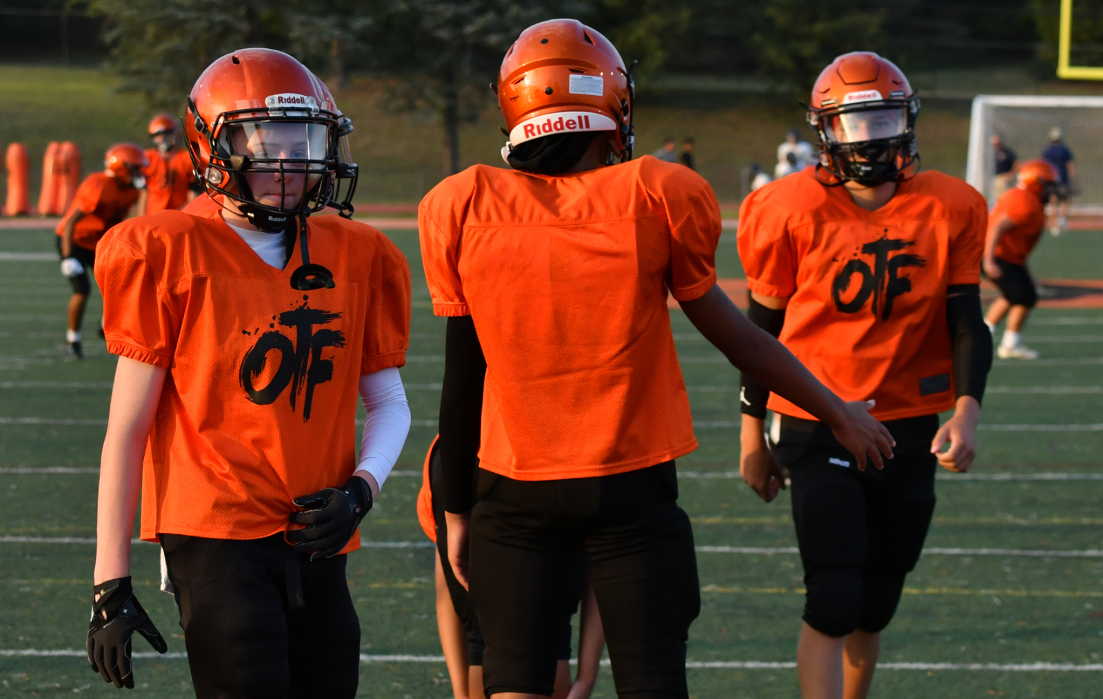 Hayfield - Team Home Hayfield Hawks Sports