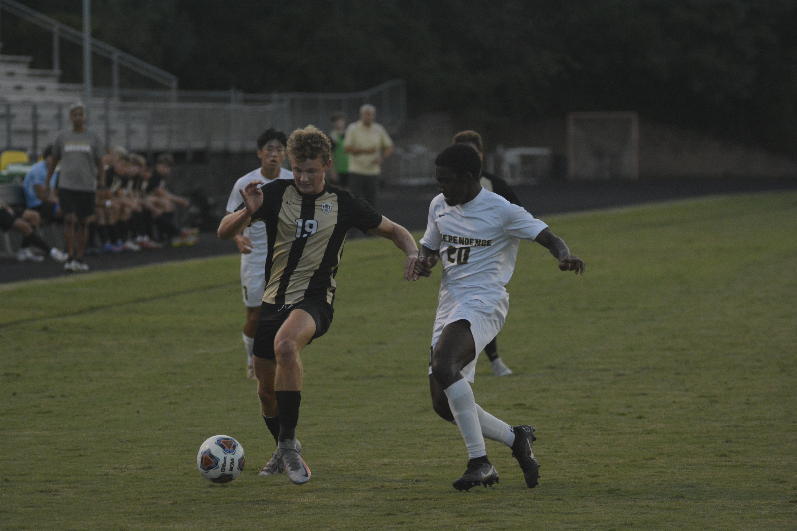 Providence - Team Home Providence Panthers Sports