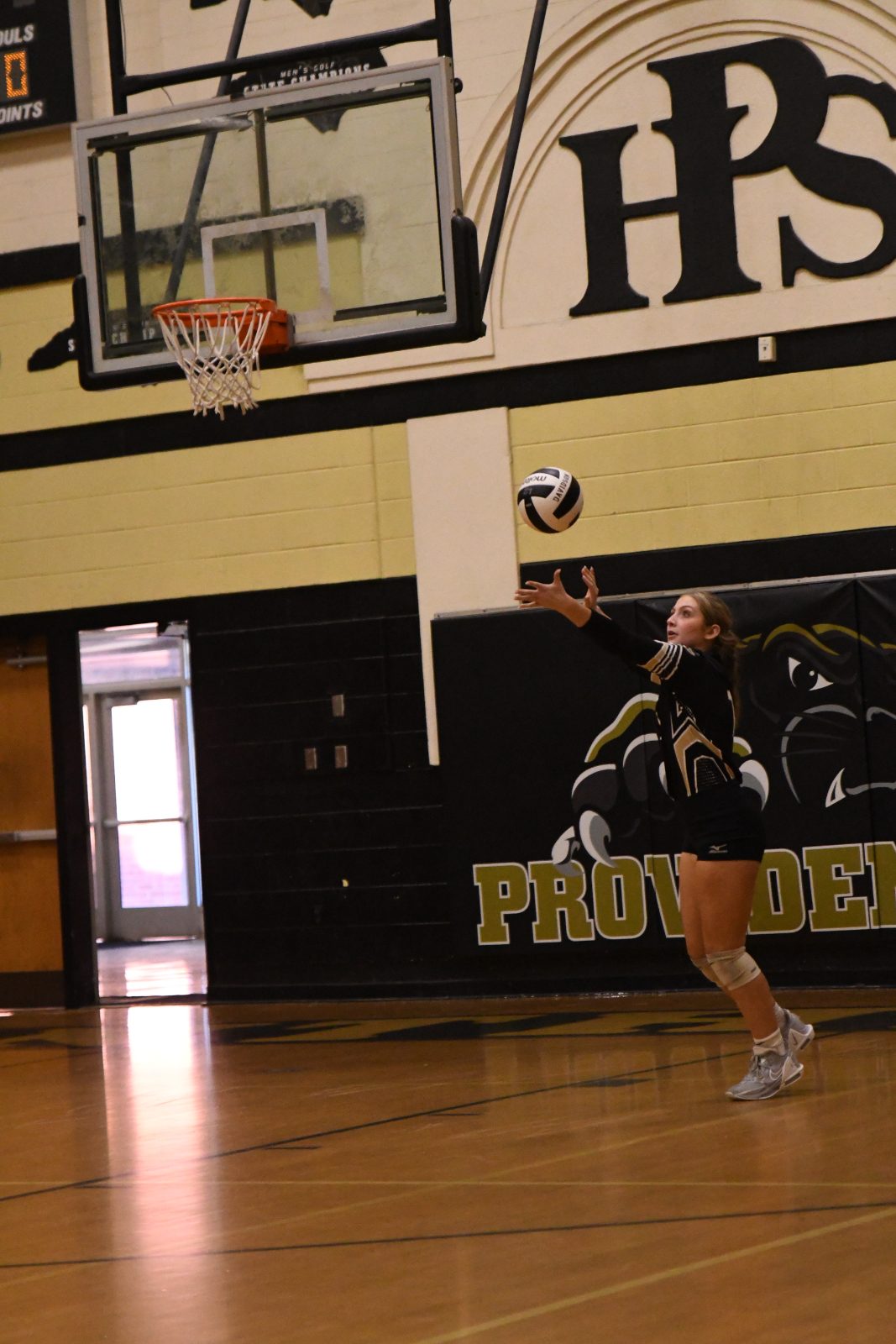 Providence - Team Home Providence Panthers Sports