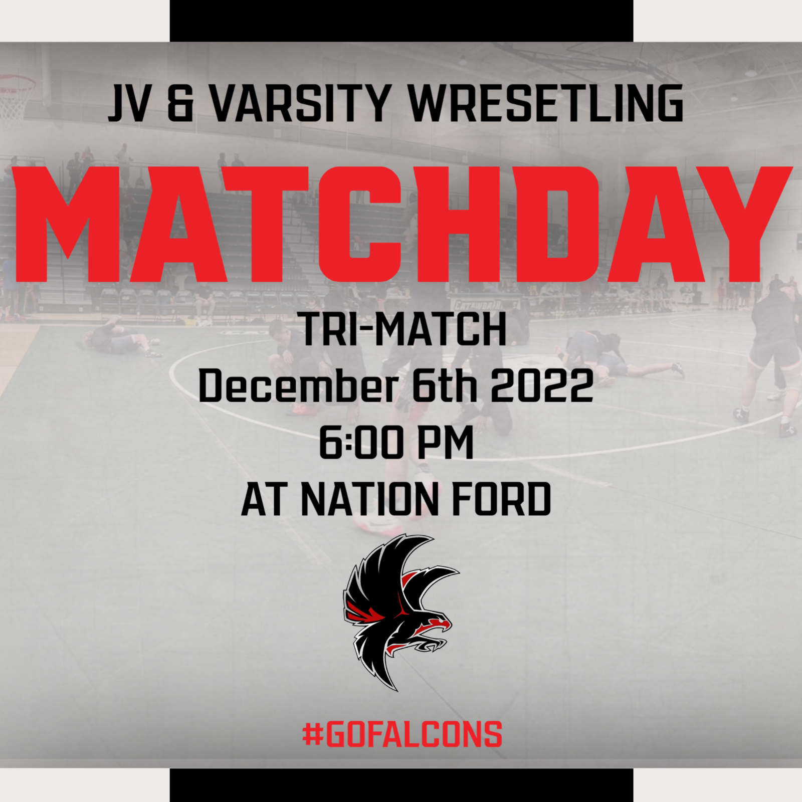 Nation Ford - Team Home Nation Ford Falcons Sports