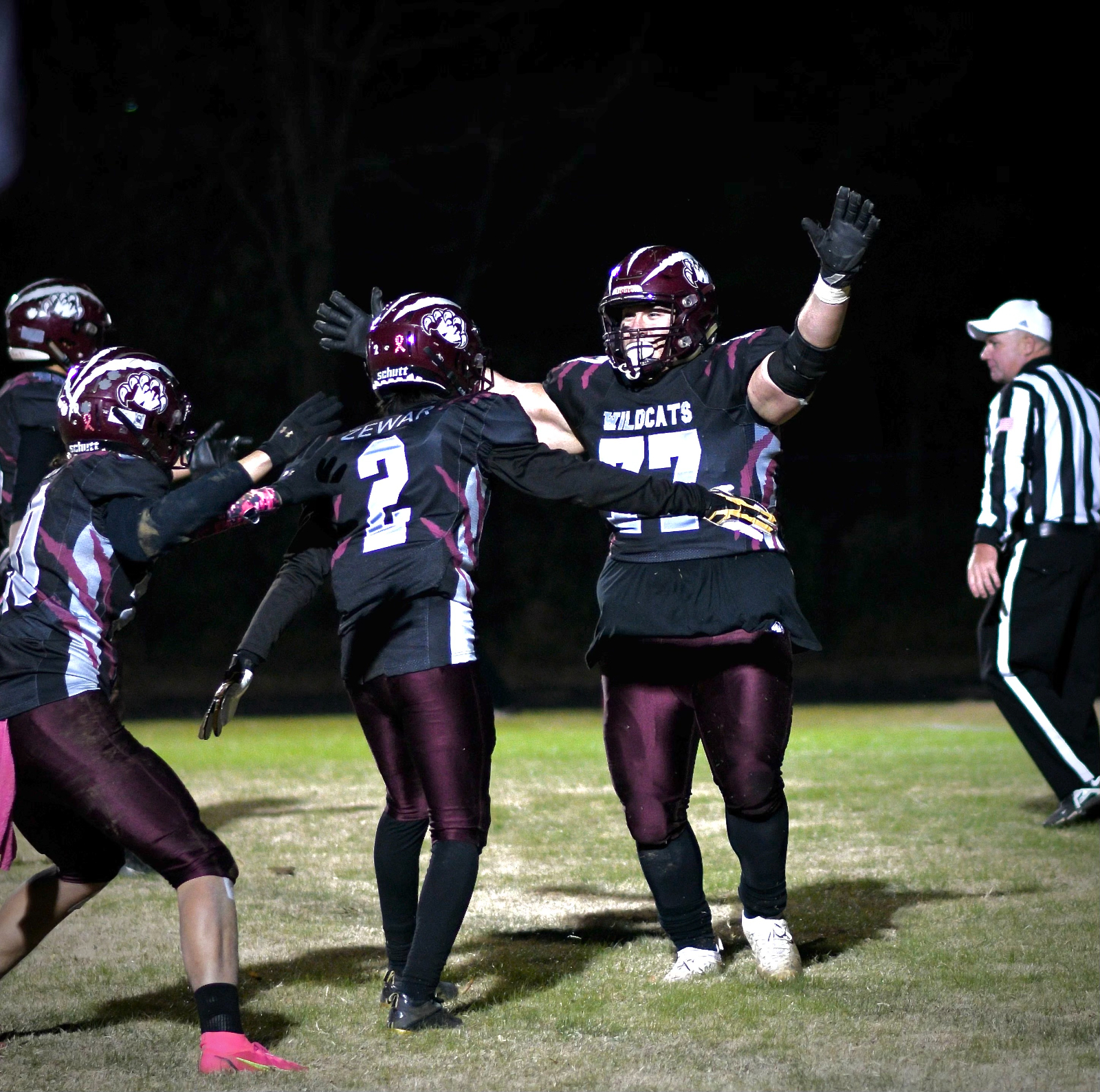 Warren County - Team Home Warren County Wildcats Sports