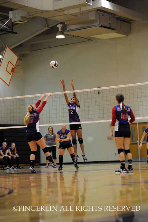 Saluda - Team Home Saluda Tigers Sports