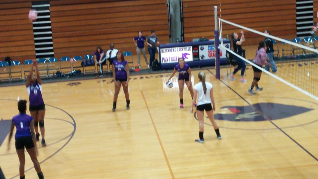 Saluda Tigers - Official Athletic Website – Saluda, SC