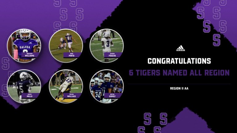Saluda Tigers - Official Athletic Website – Saluda, SC