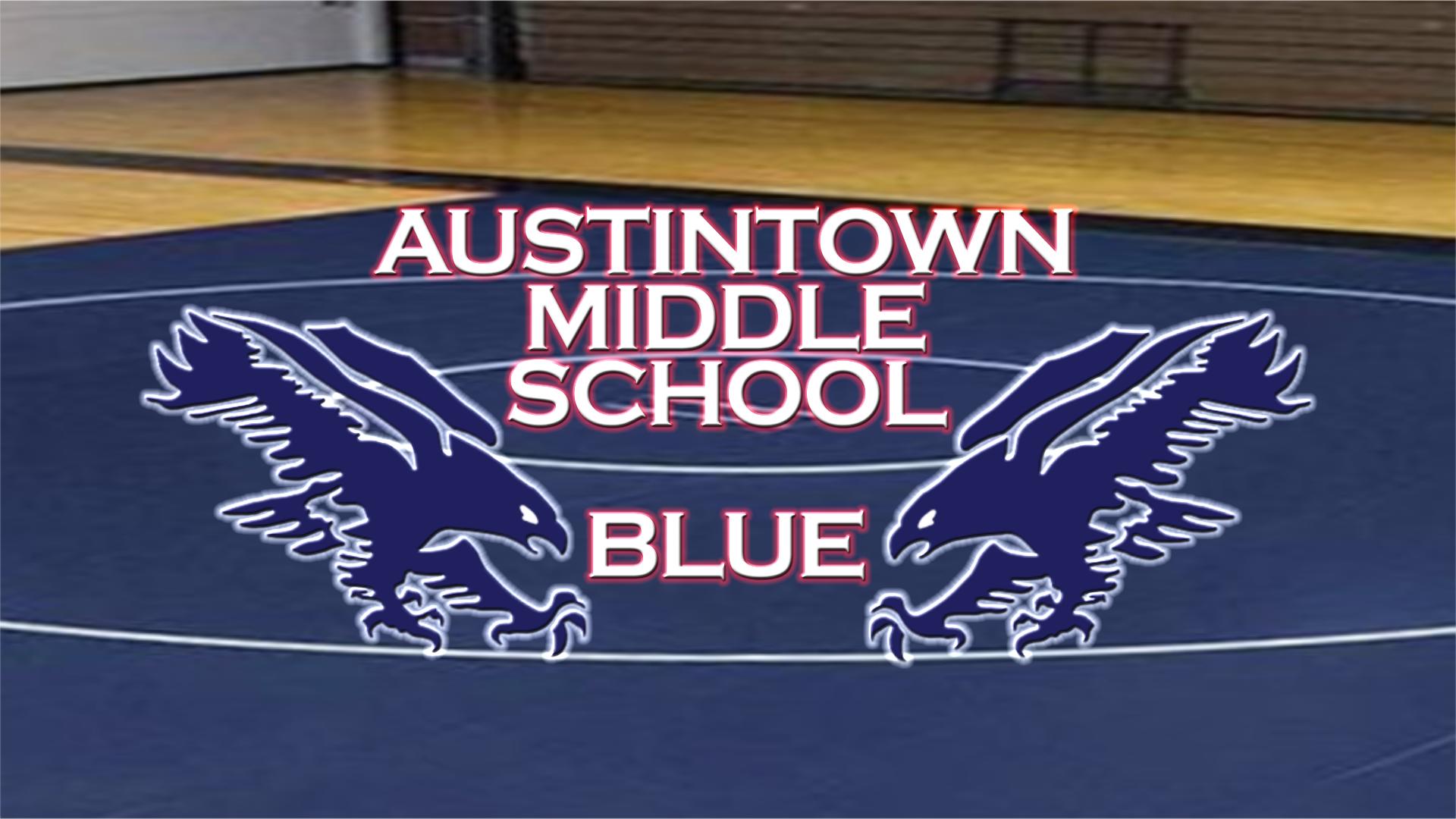 Austintown Fitch - Team Home Austintown Fitch Falcons Sports