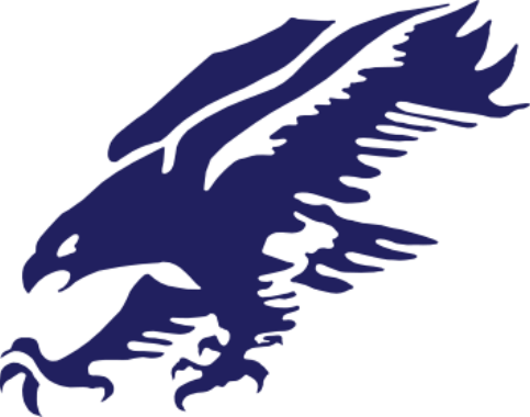 Austintown Fitch - Team Home Austintown Fitch Falcons Sports