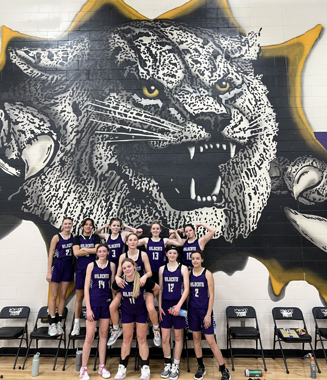 Laporte Public School - Team Home Laporte Public School Wildcats Sports