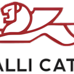 Roncalli Catholic Lions - Official Athletic Website – Omaha, NE