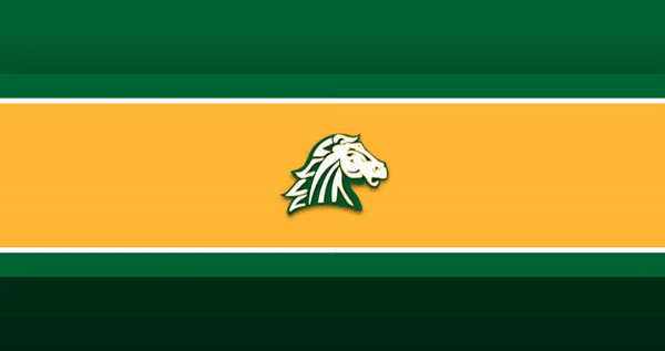 Dubuque Hempstead Mustangs - Official Athletic Website – Dubuque, IA