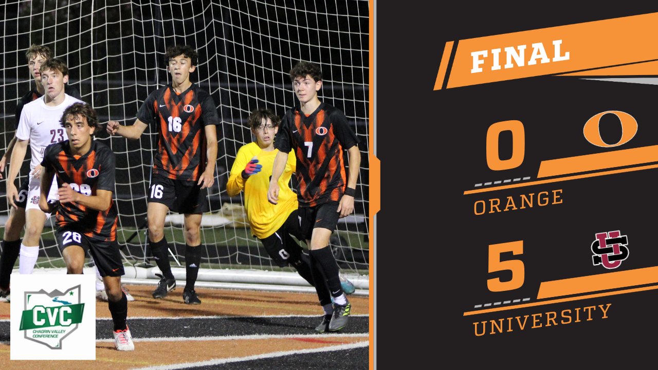 Orange - Team Home Orange Lions Sports