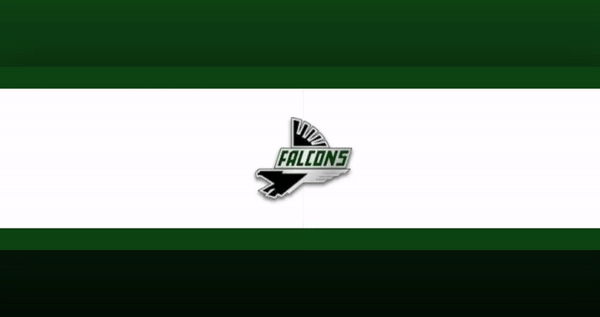 Faribault Falcons - Official Athletic Website – Faribault, MN