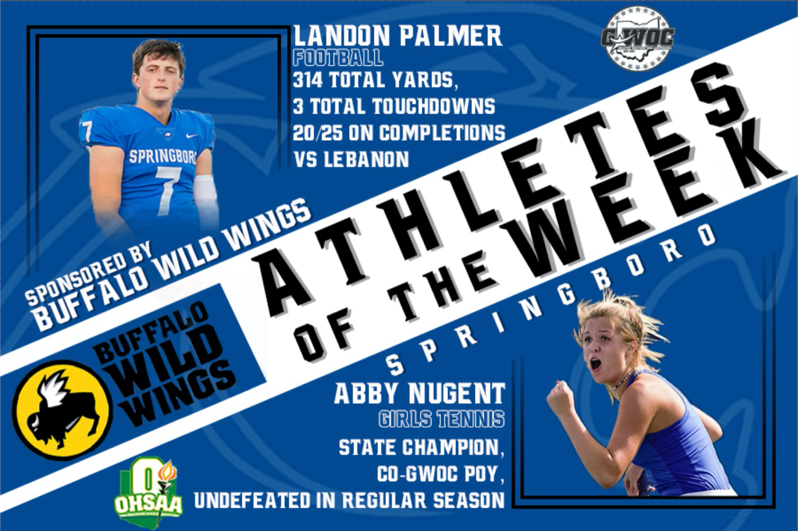 Springboro - Team Home Springboro Panthers Sports