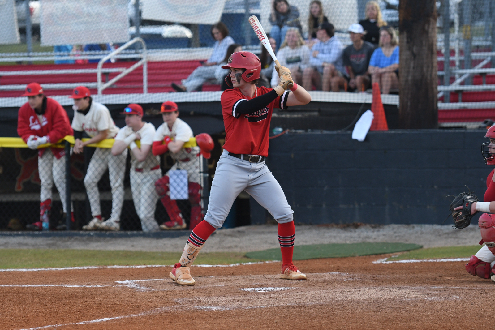 Cardinal Newman School - Team Home Cardinal Newman School Cardinals Sports