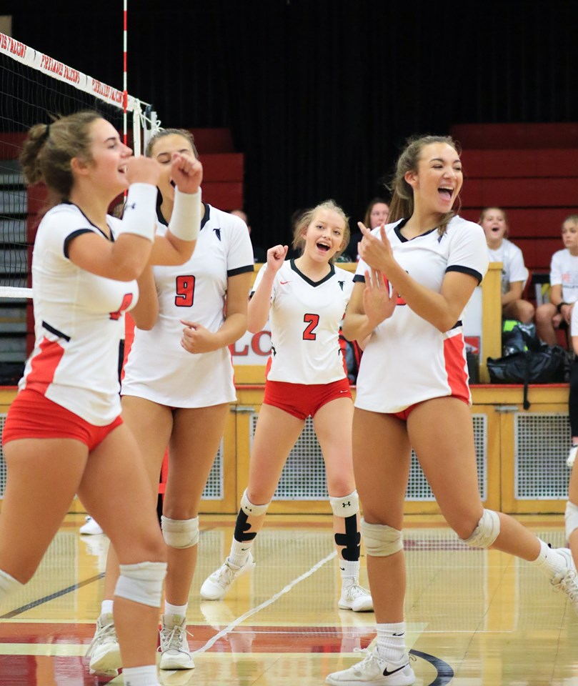 Firelands - Team Home Firelands Falcons Sports