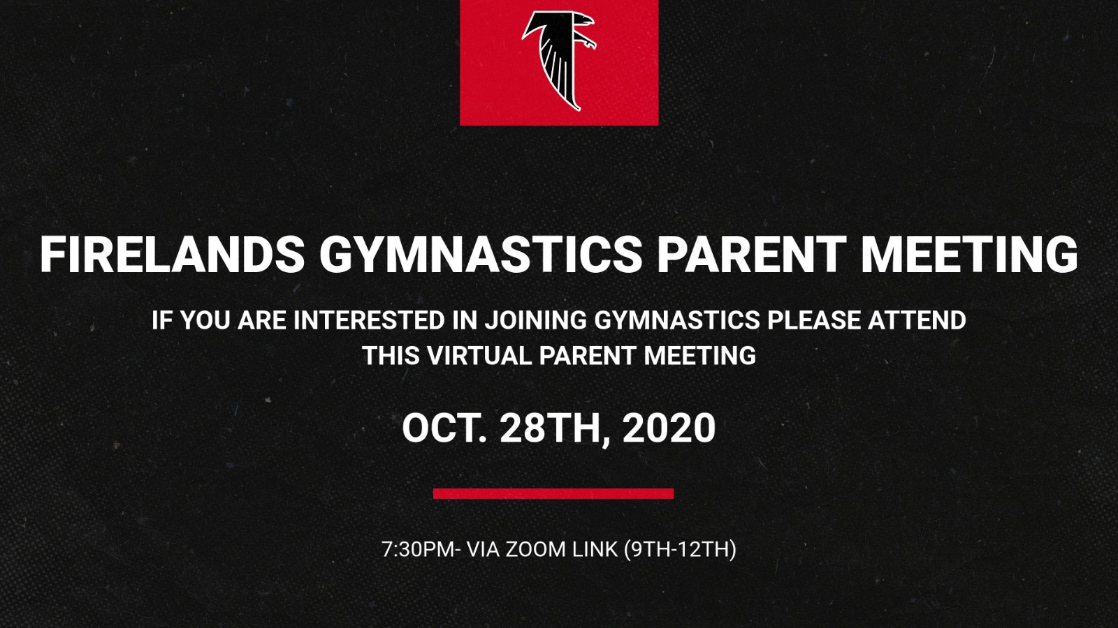 Firelands - Team Home Firelands Falcons Sports