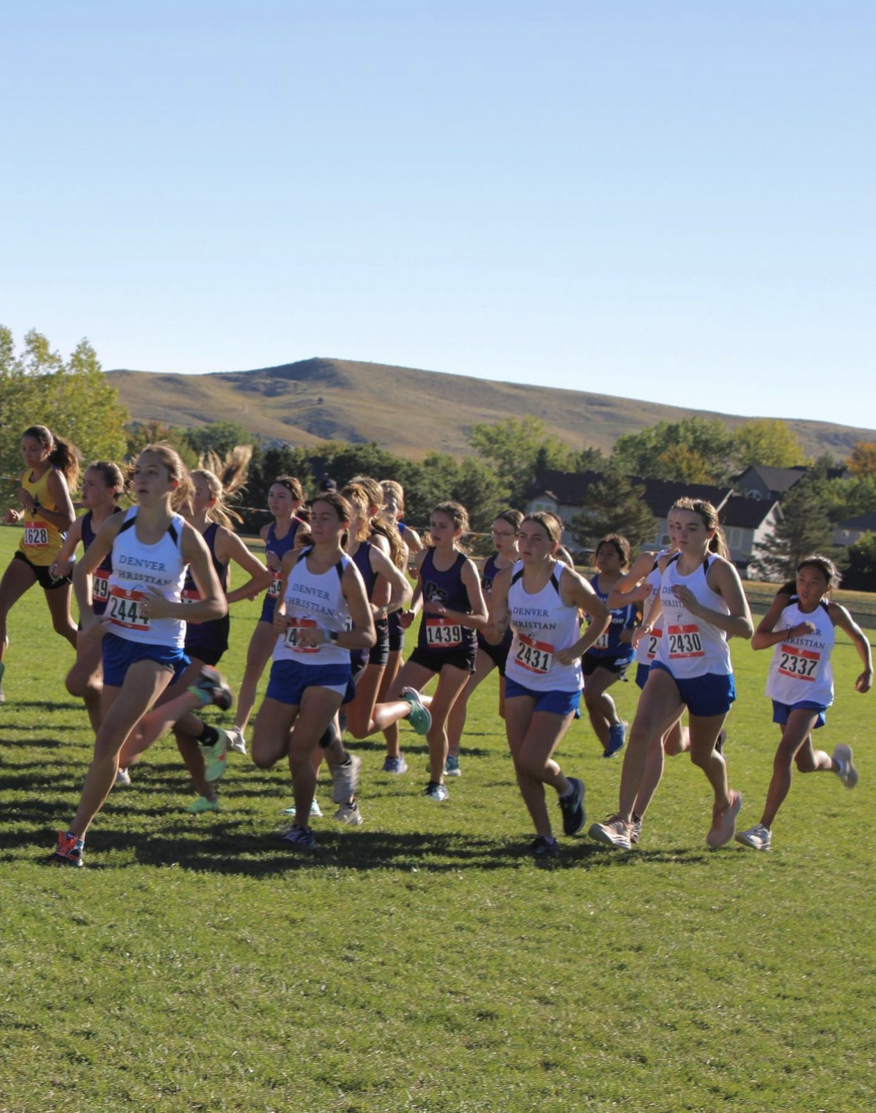 Denver Christian - Team Home Denver Christian Thunder Sports