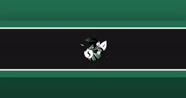 Spectrum - Team Home Spectrum Sting Sports