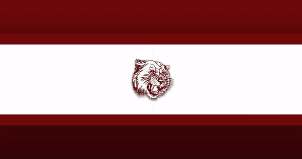 Washington - Team Home Washington Wildcats Sports