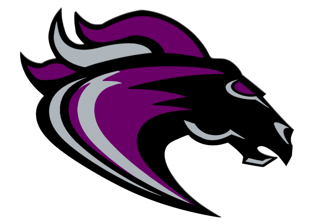 Rock Hill High School - Bearcats Official Athletic Website