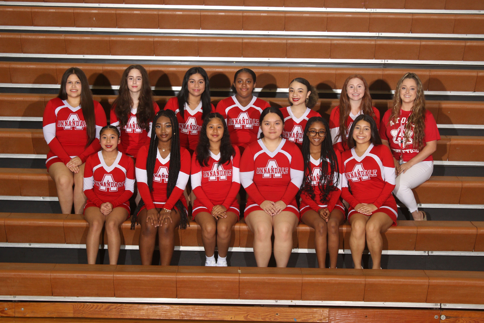 Annandale - Team Home Annandale Atoms Sports