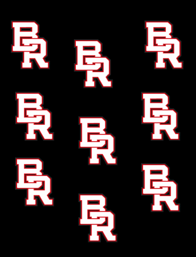 Blue Ridge Tigers - Official Athletic Website – Greer, SC