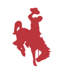 Chaney Cowboys - Official Athletic Website – Youngstown, OH