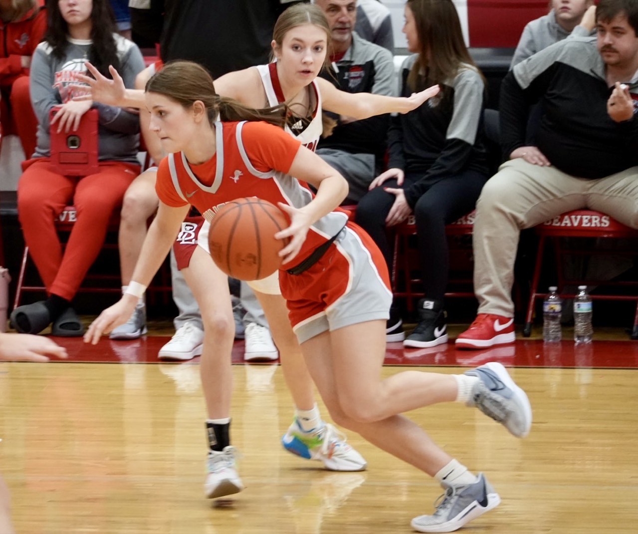 Minerva - Team Home Minerva Lions Sports