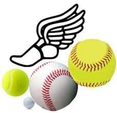 Minerva Lions - Official Athletic Website – Minerva, OH