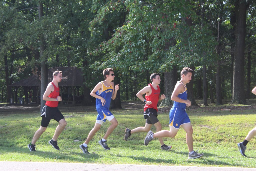 Hampton - Team Home Hampton Talbots Sports