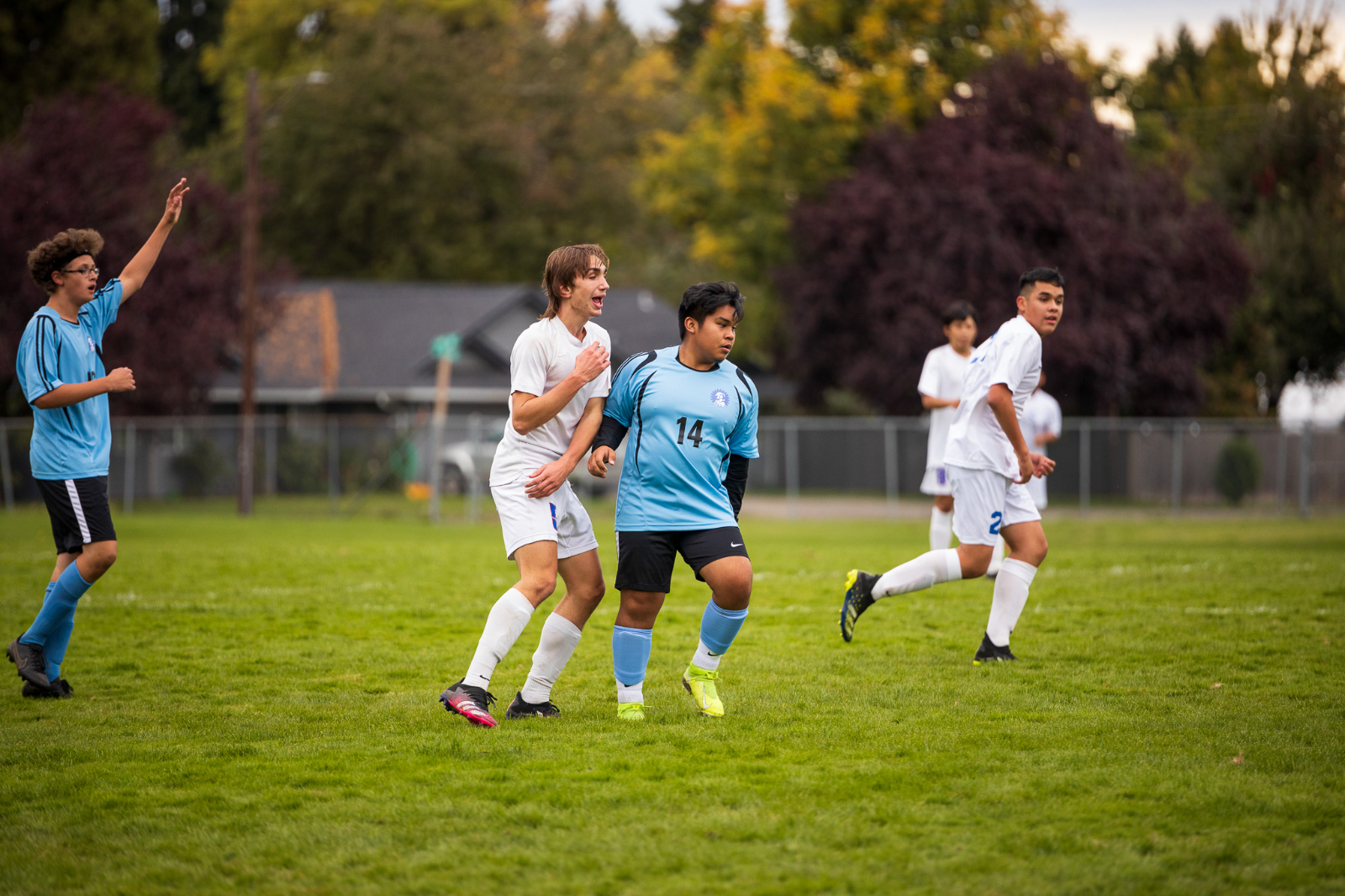 Springfield - Team Home Springfield Millers Sports