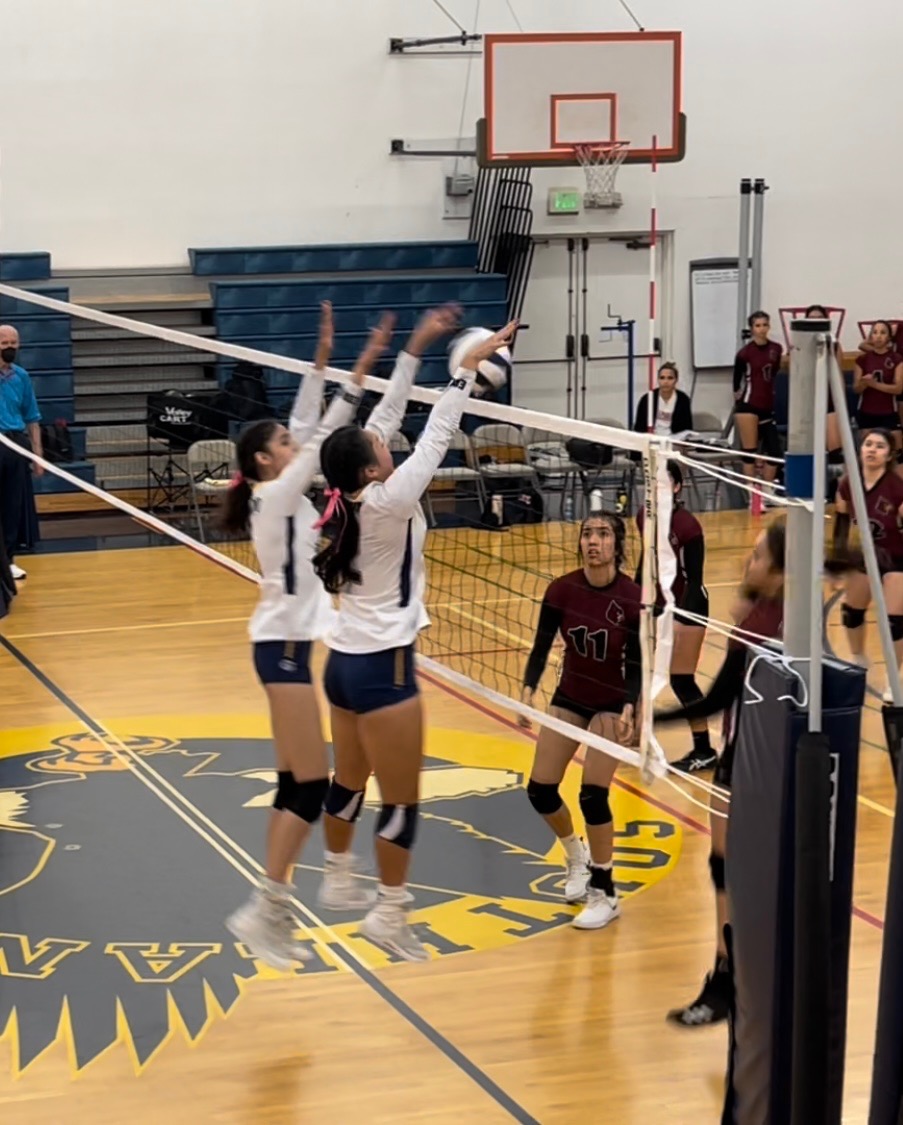 Southlands Christian - Team Home Southlands Christian Eagles Sports