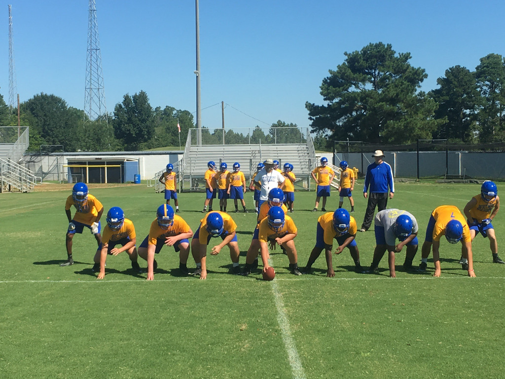 Whitmire - Team Home Whitmire Wolverines Sports