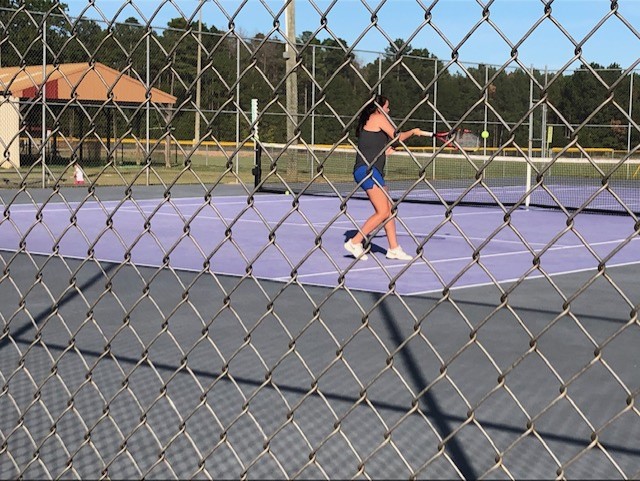 Whitmire - Team Home Whitmire Wolverines Sports