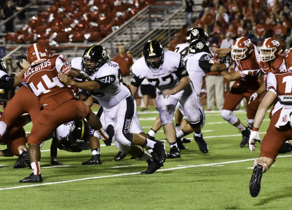 Calhoun - Team Home Calhoun Sandcrabs Sports