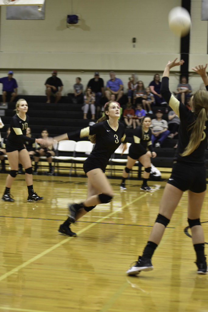 Calhoun - Team Home Calhoun Sandcrabs Sports