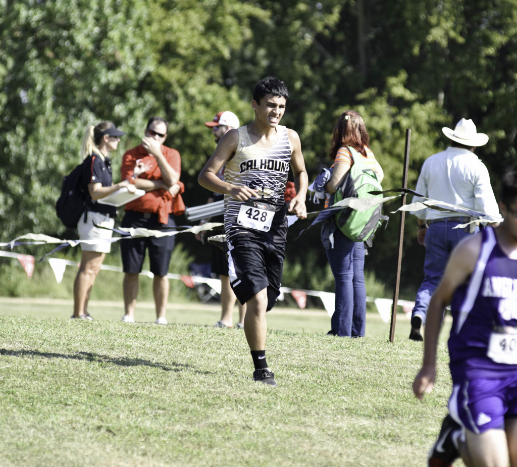 Calhoun - Team Home Calhoun Sandcrabs Sports