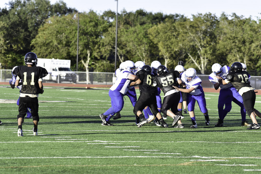 Calhoun - Team Home Calhoun Sandcrabs Sports