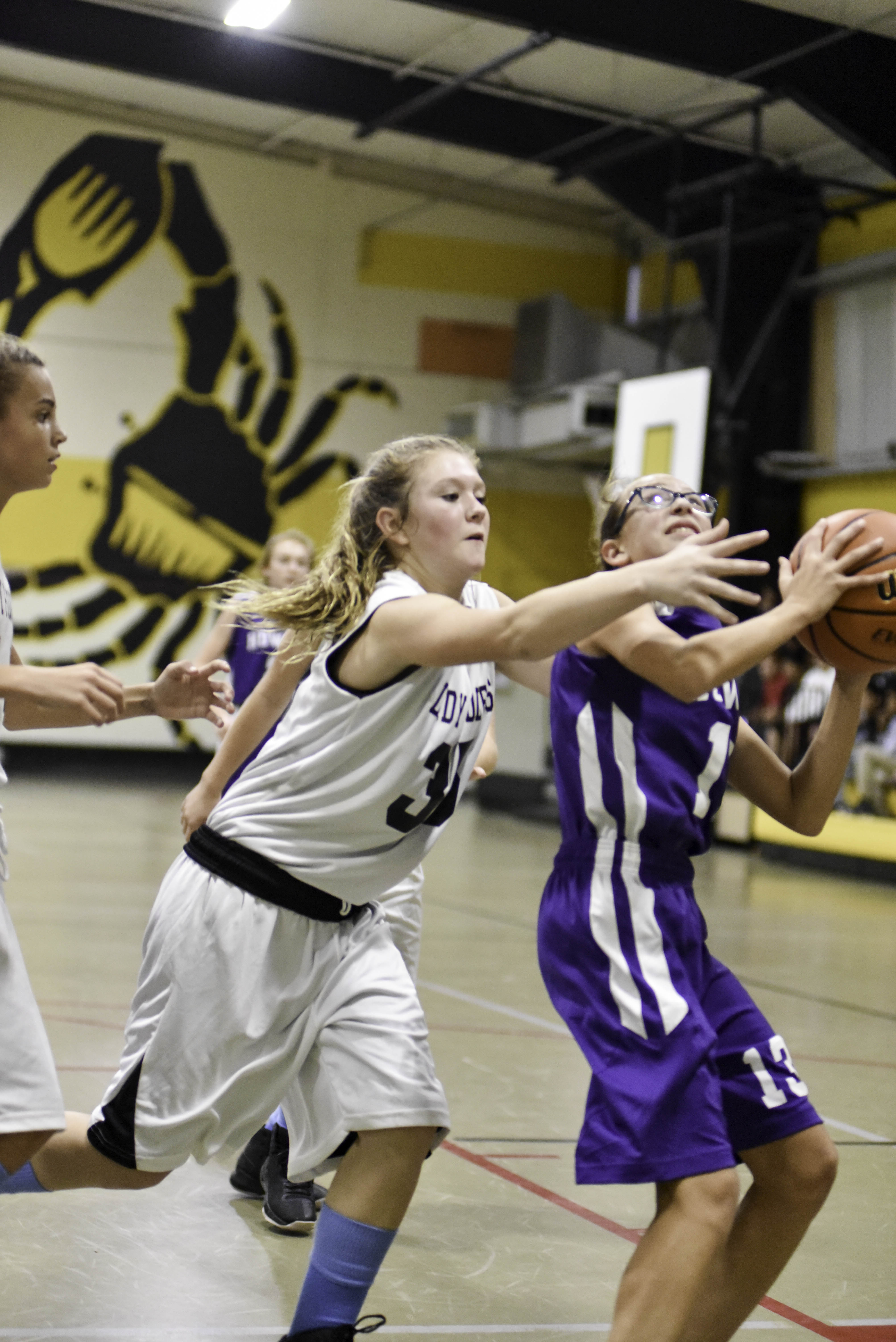 Calhoun - Team Home Calhoun Sandcrabs Sports