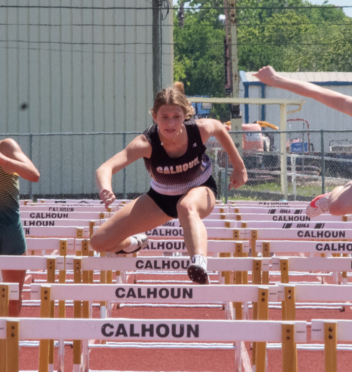 Calhoun - Team Home Calhoun Sandcrabs Sports